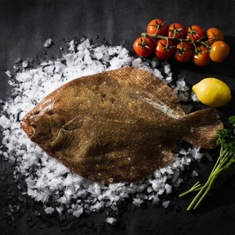 Tout savoir sur la barbue : cuisson, saveurs et astuces